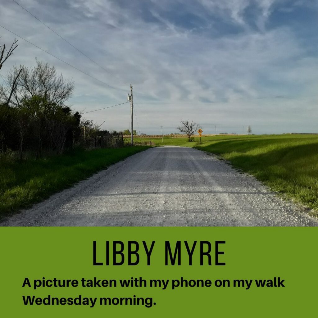 Stay at Home Challenges – Library News